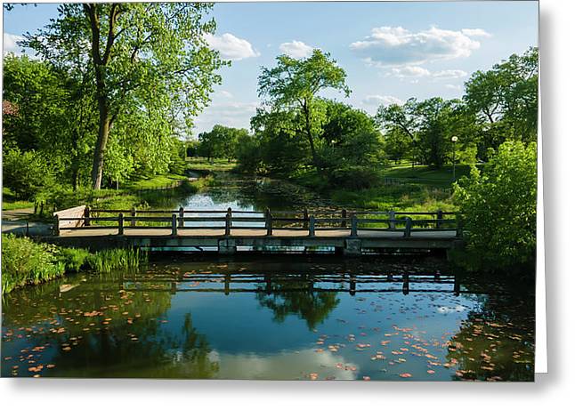 Chicago nature 2 - Greeting Card – Ravenstravel